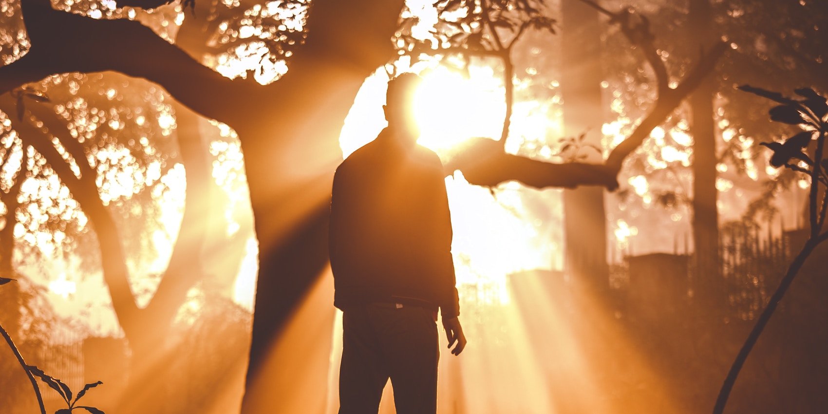 5 Credible Stories of Near-Death Experiences (Peer-Reviewed)