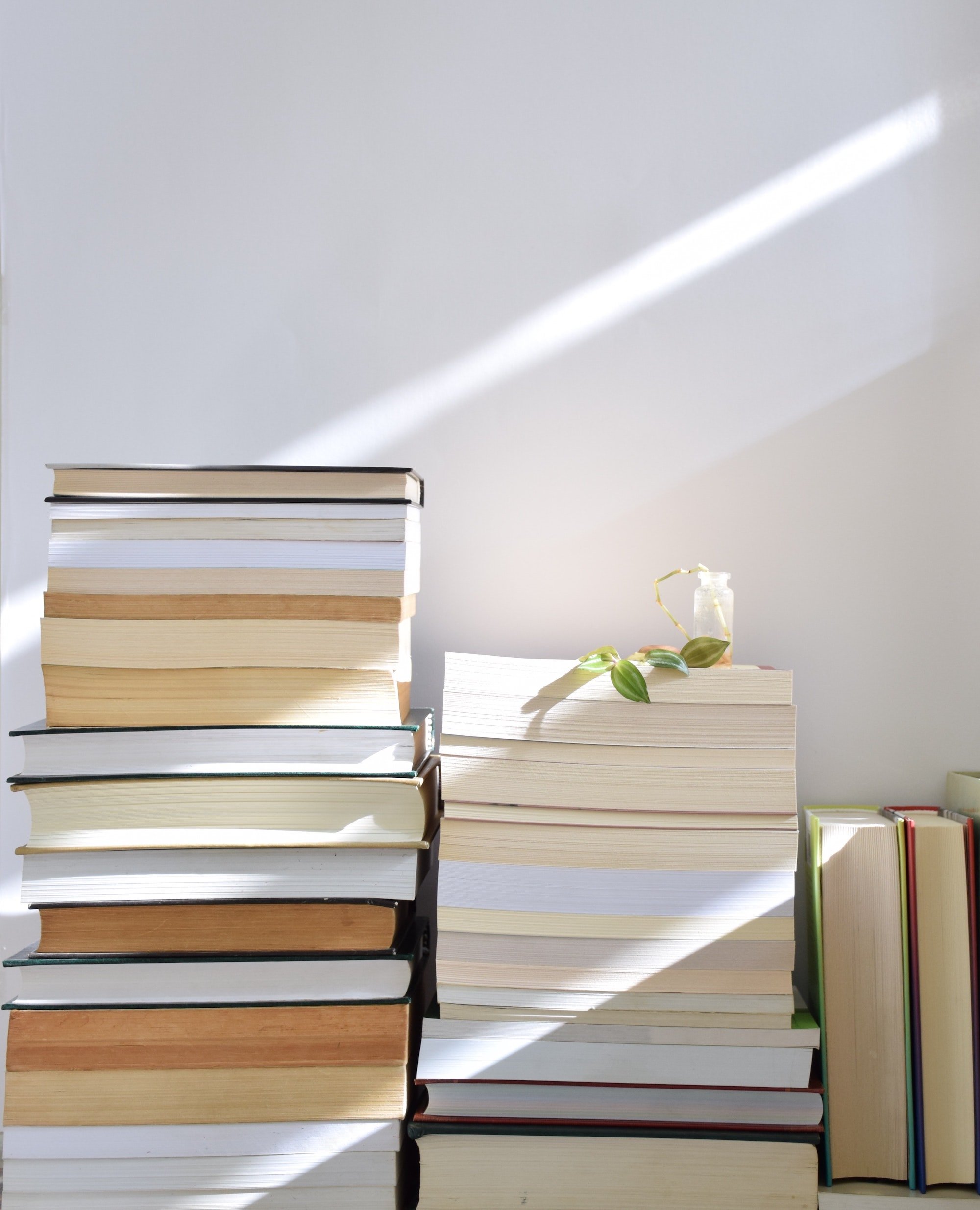 Magis Center | Science, Reason, and Faith